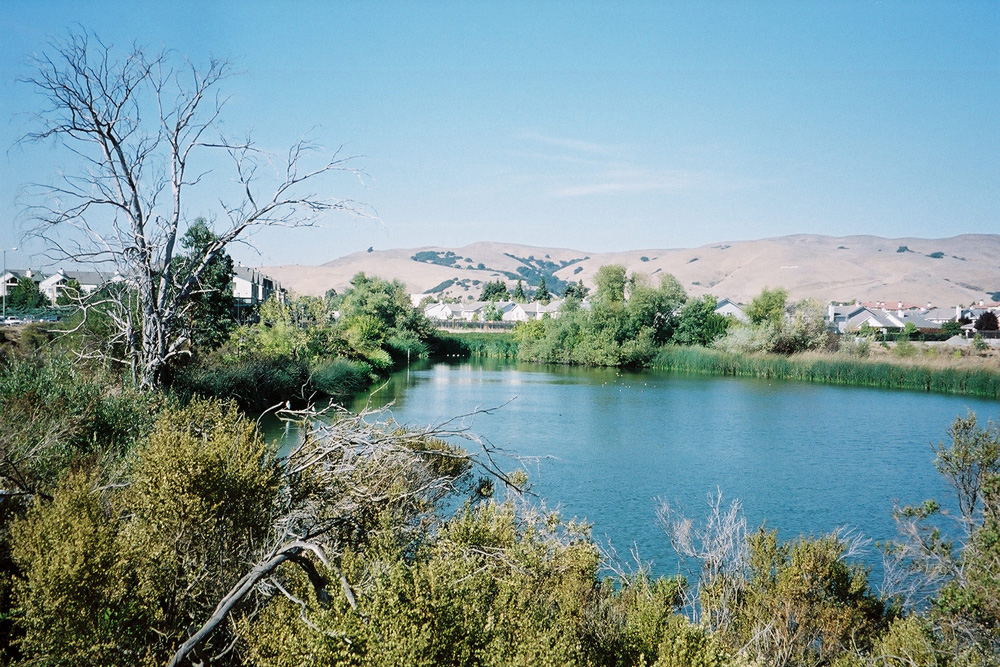 Field Trip Report: Hayward Fault and Tule Pond – Northern California ...